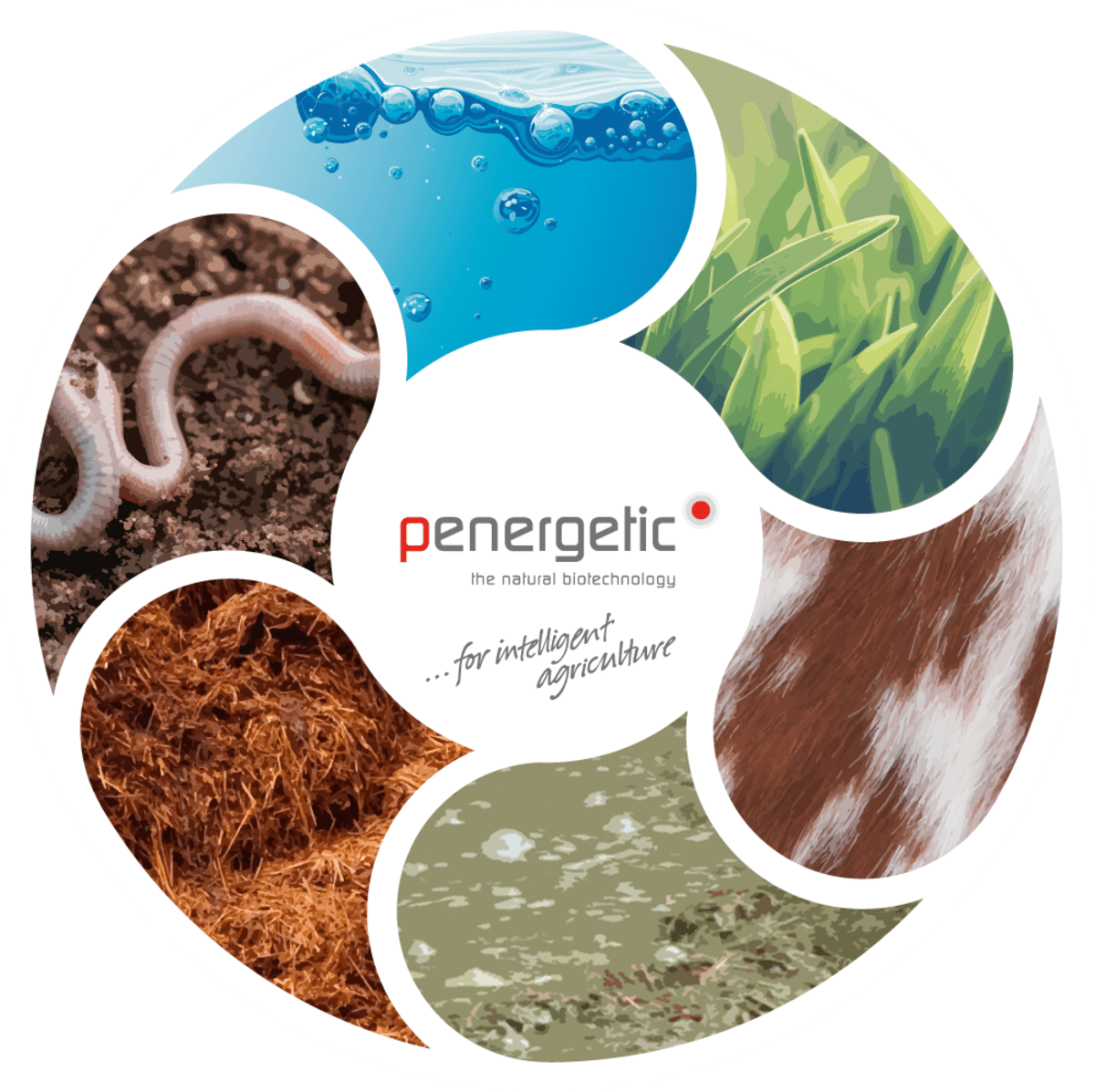 Penergetic Deutschland | Biostimulanz Produkte